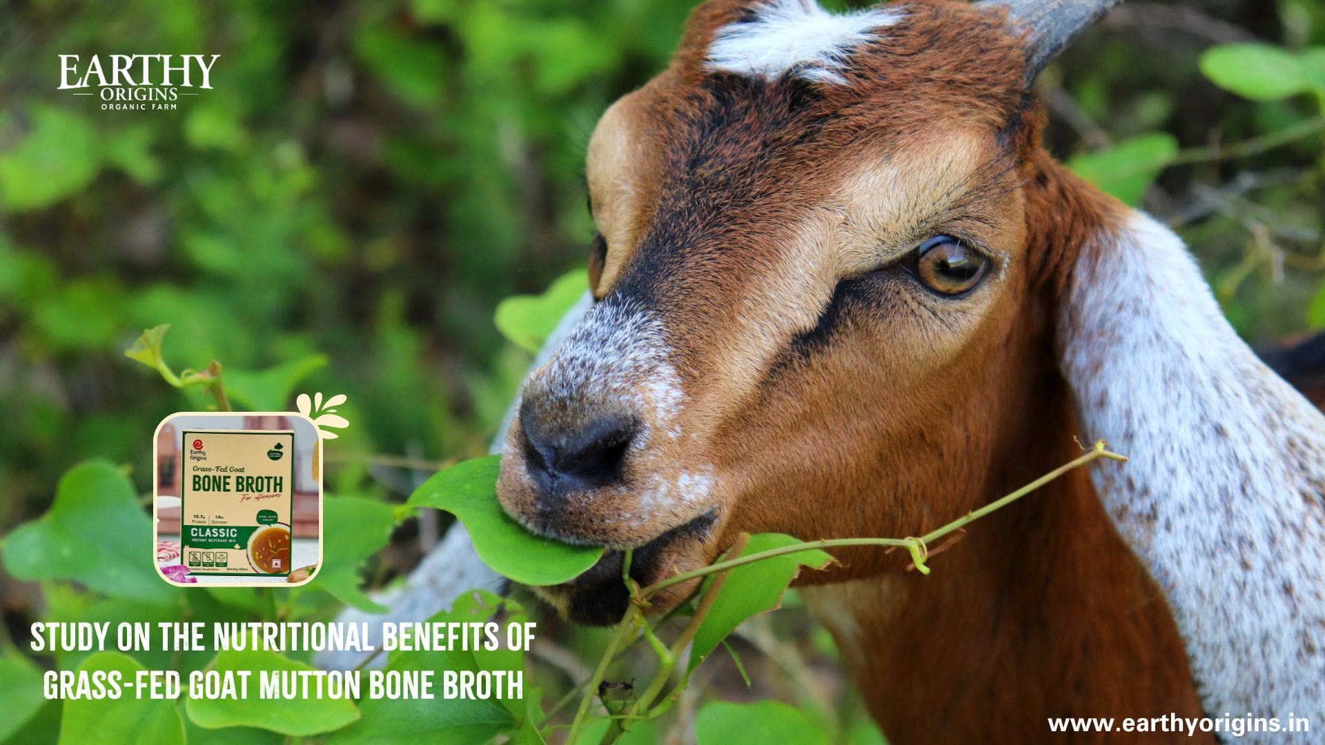 Grass Fed Goat Mutton Bone Broth Soup Nutritional Benefits