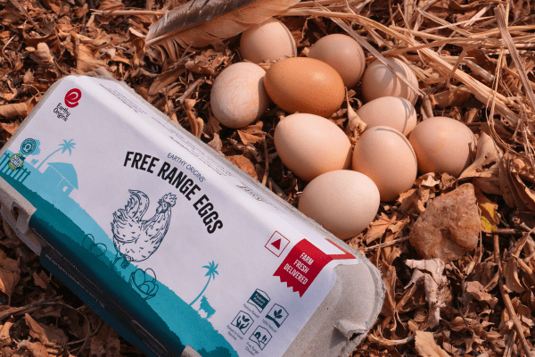 100% Organic Free Range Pasture Raised Eggs Online Delivery – Earthy ...