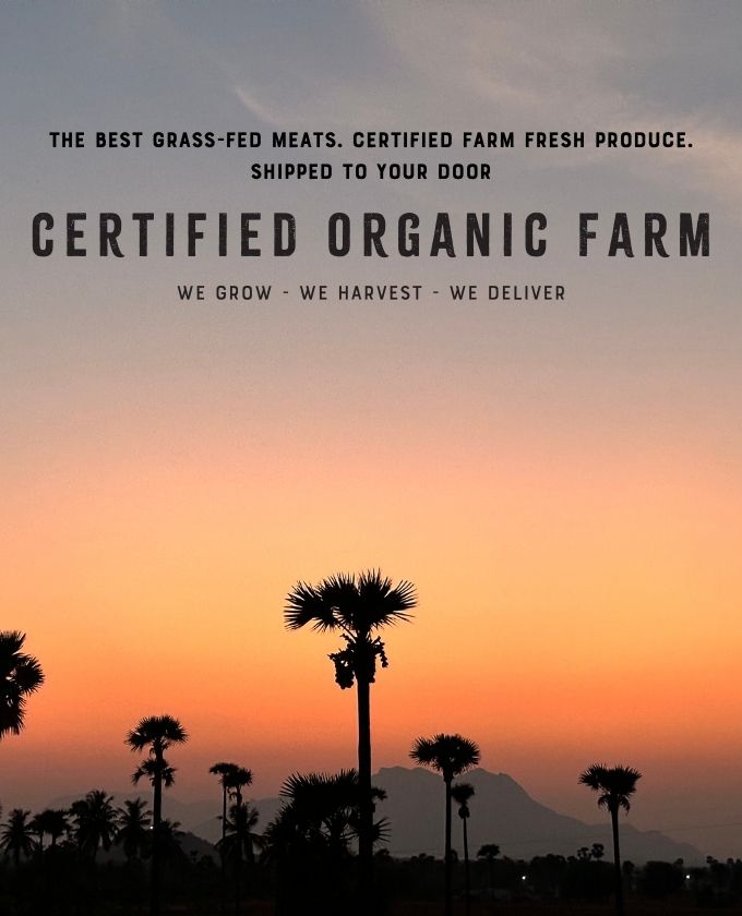 100% Fresh Organic Meat, Fruits & Vegetables Online Delivery – Earthy ...